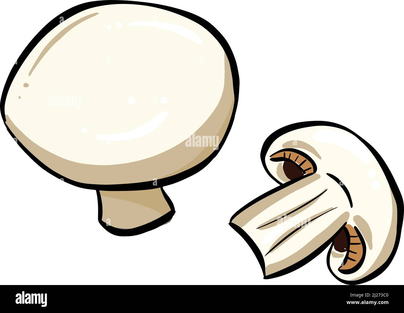 Cartoon Button Mushroom And Sliced Piece Illustration Stock Vector ...