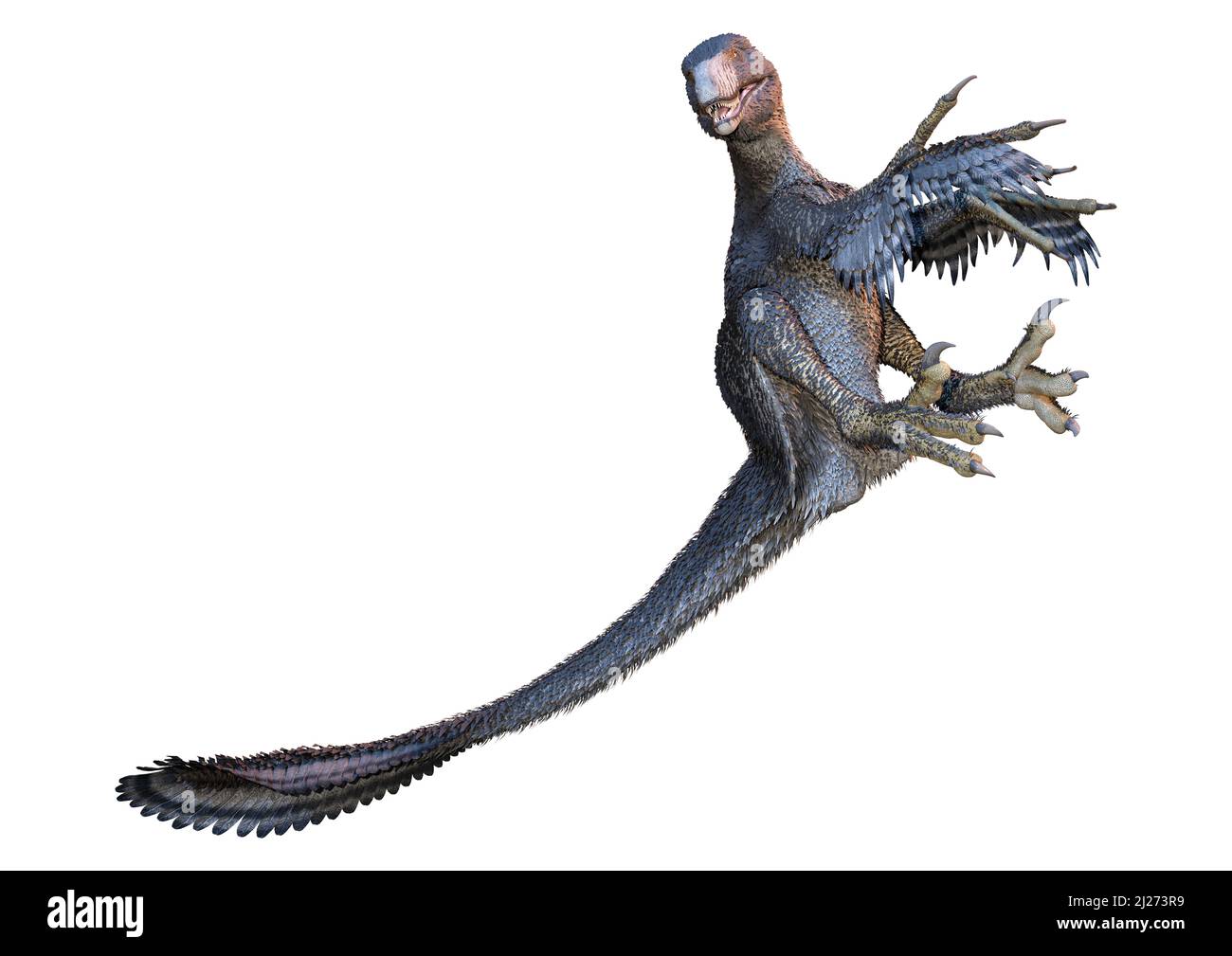 3D rendering of a dinosur Dakotaraptor isolated on white background ...