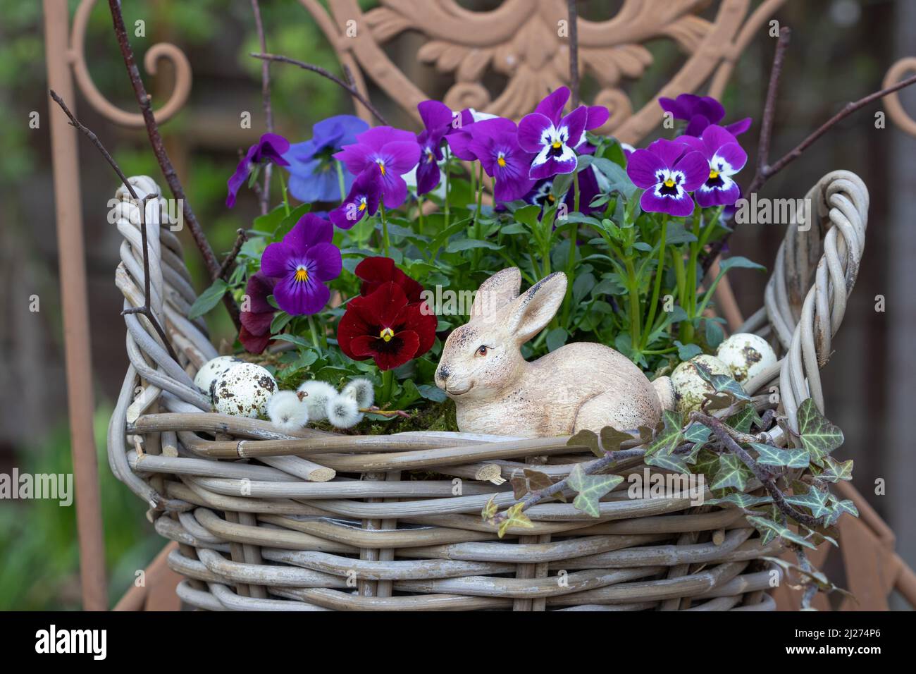 easter decoration with easter bunny and purple viola flowers in basket ...
