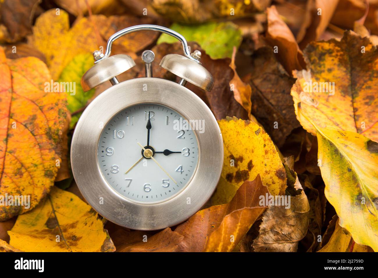 A closeup shot of dry autumn leaves with an alarm clock Stock Photo - Alamy