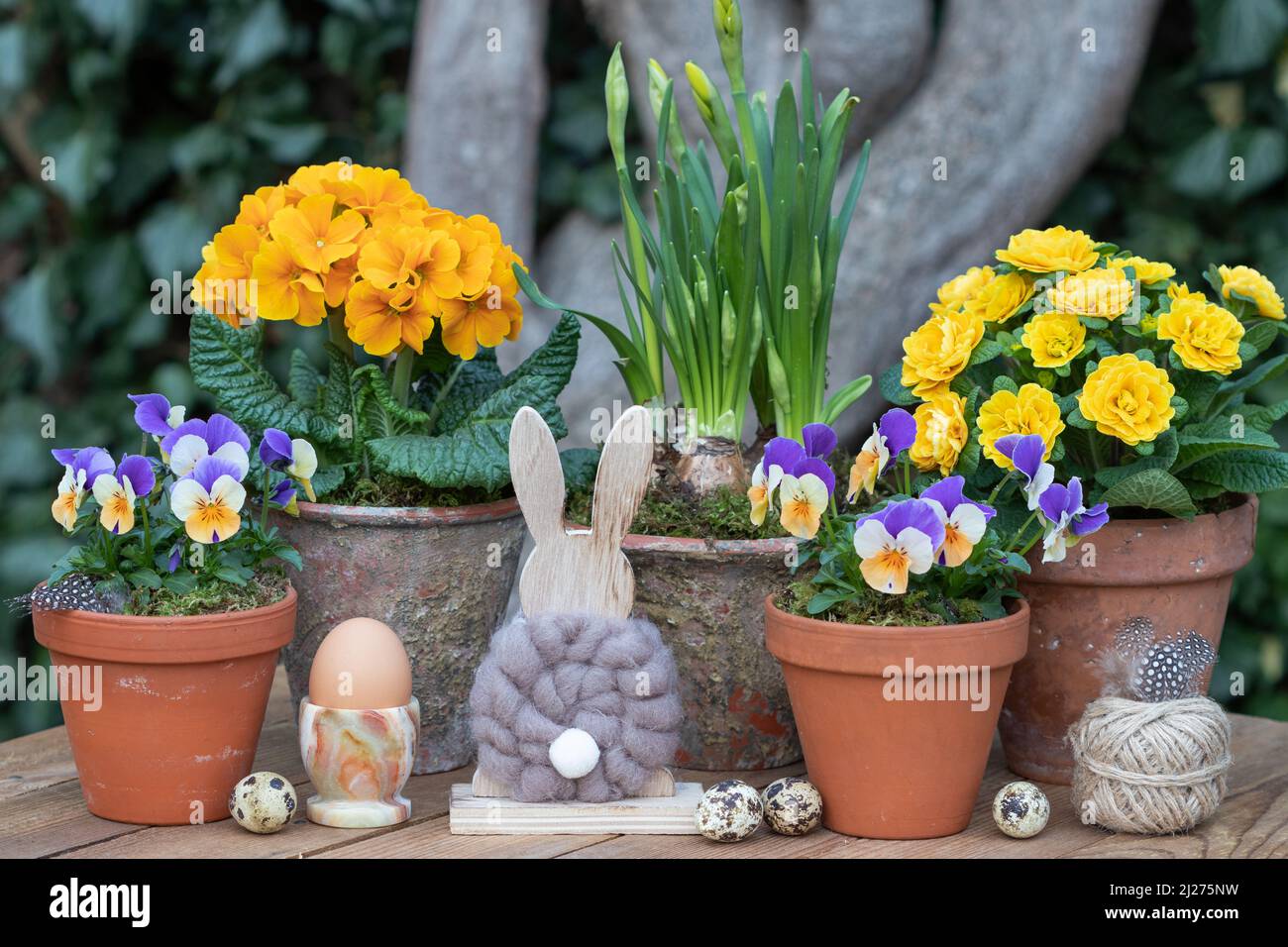 easter garden decoration with easter bunny and spring flowers in ...
