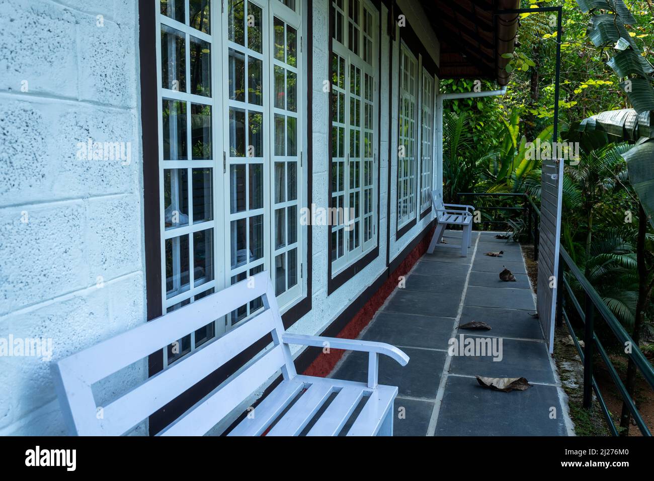 Theekoy hi-res stock photography and images - Alamy
