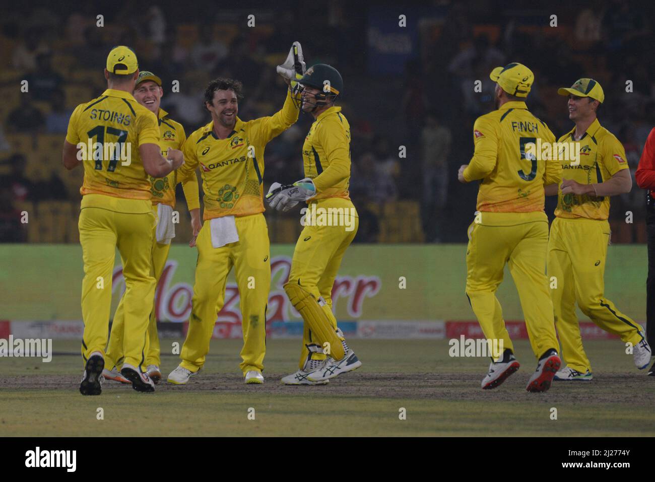 Cricket celebrating photo hi-res stock photography and images - Alamy