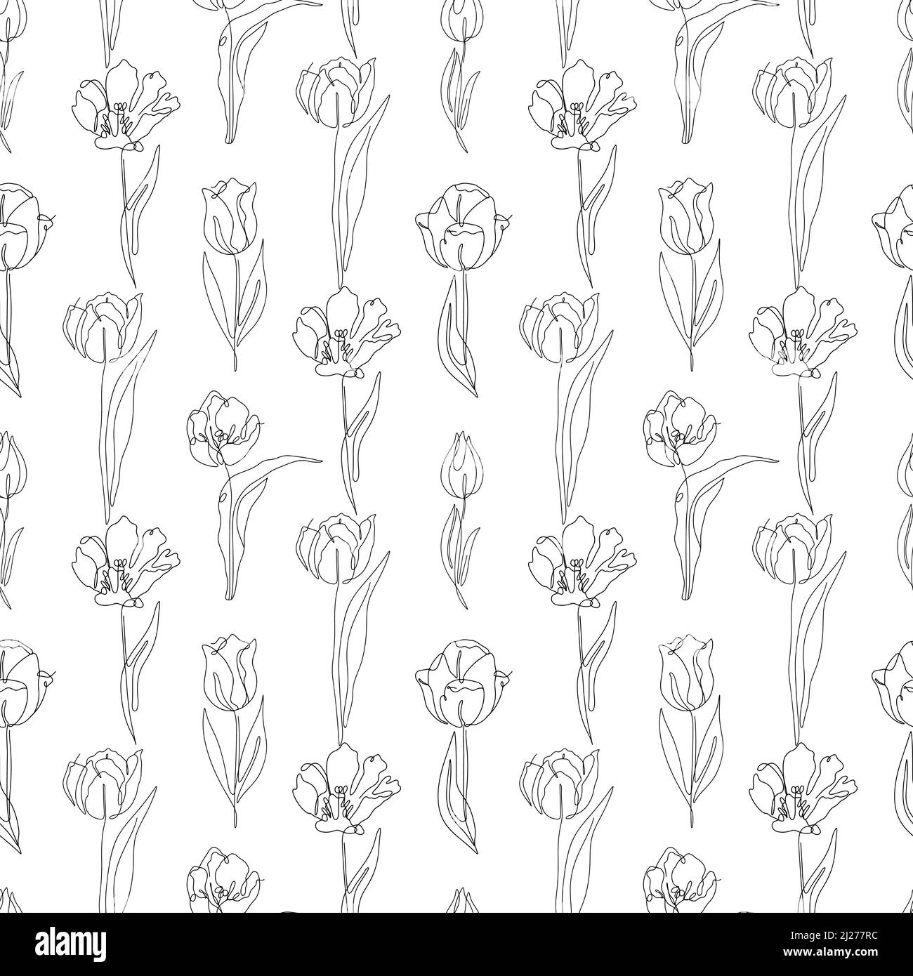 Monochrome seamless pattern with single line tulip flowers drawings ...