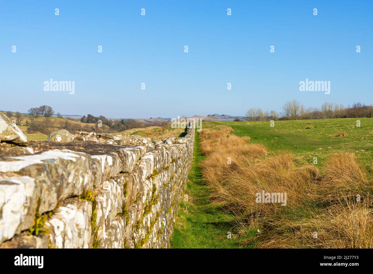 Remains of Hadrian's Wall, built in 122 AD, in the afternoon light ...