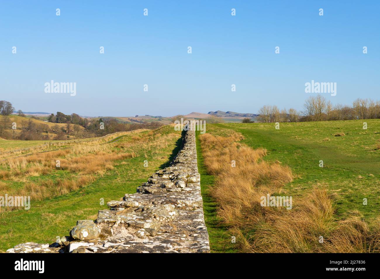 Remains of Hadrian's Wall, built in 122 AD, in the afternoon light ...