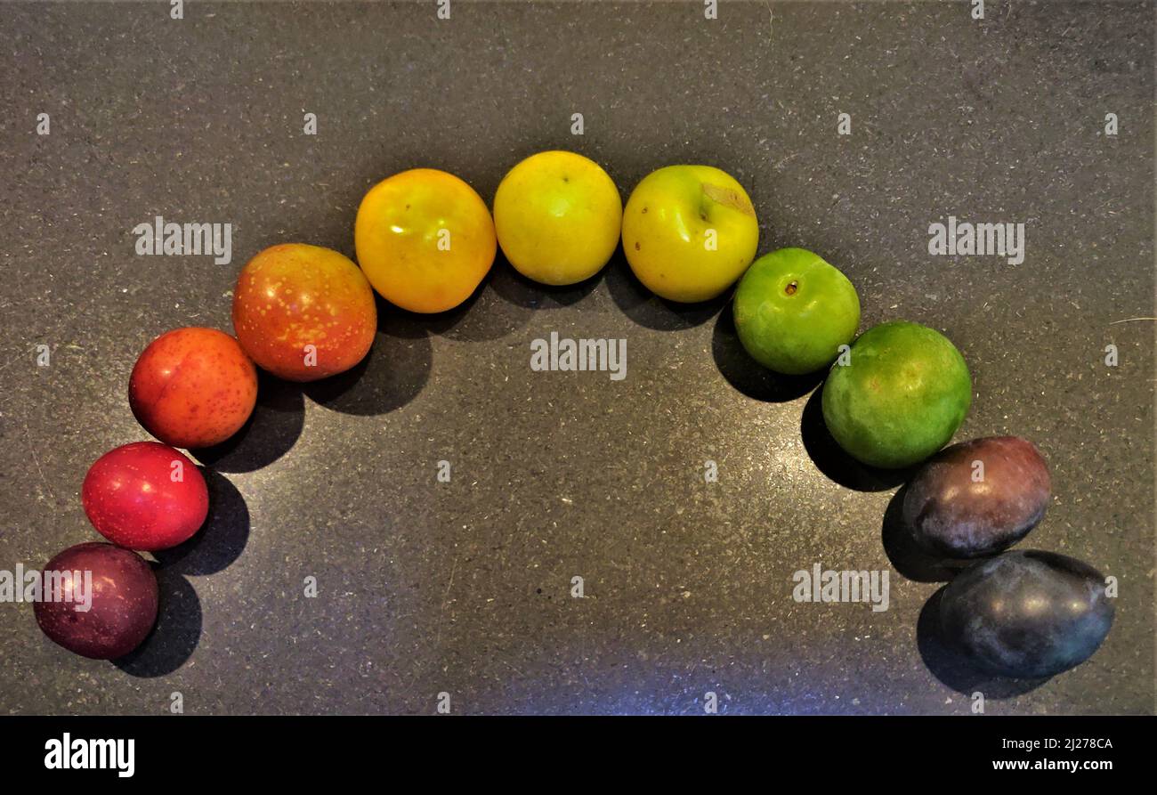 Various coloured plums arranged in a rainbow order Stock Photo - Alamy