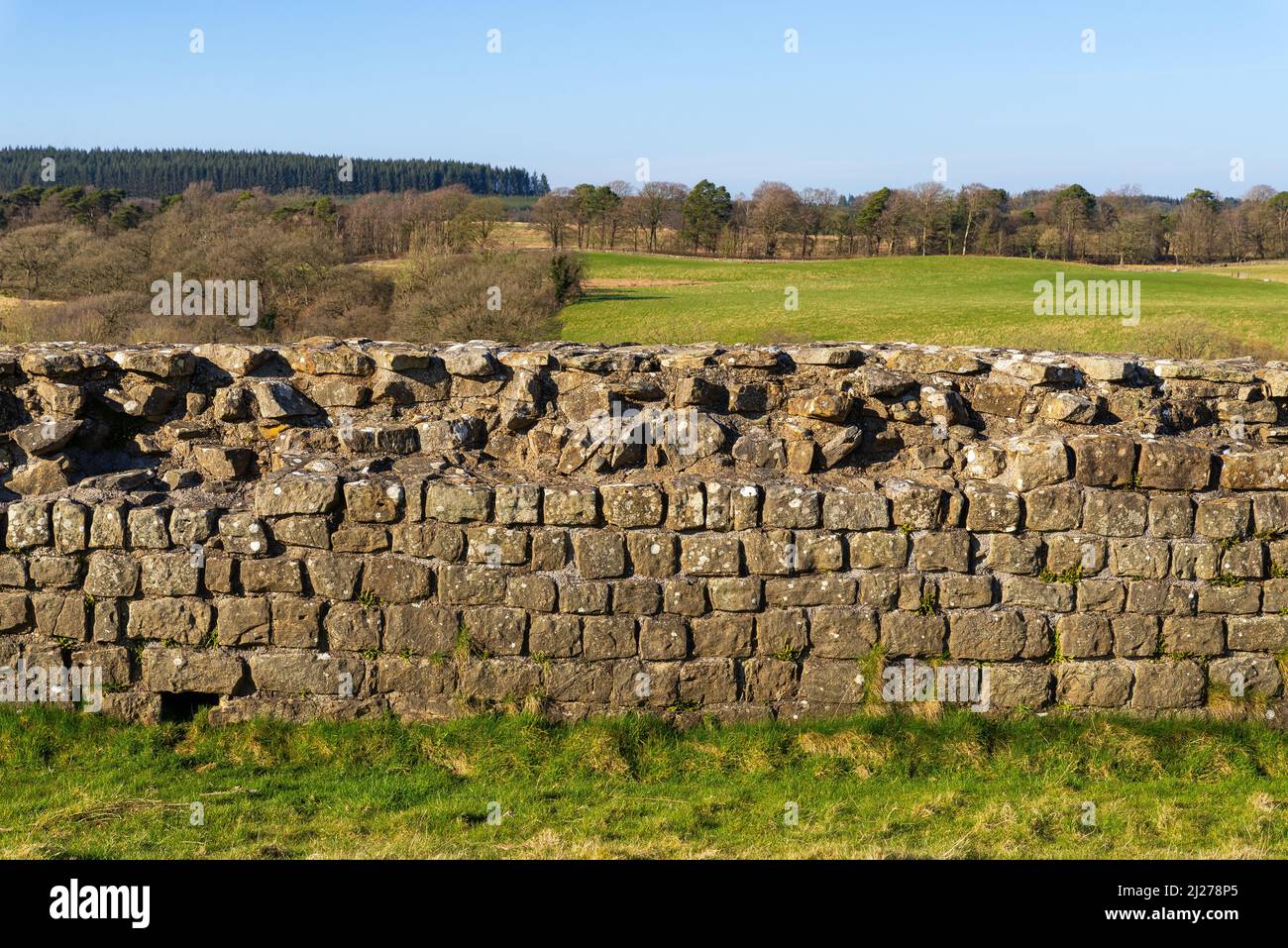 Remains of Hadrian's Wall, built in 122 AD, in the afternoon light ...