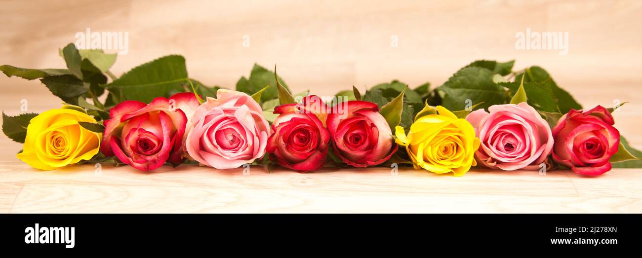 Greeting card colorful roses hi-res stock photography and images - Alamy