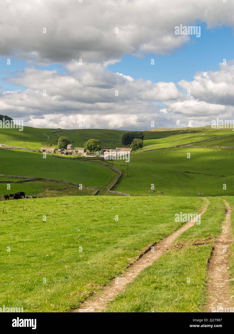 Farm Track to Bordley near Malham in The Yorkshire Dales Stock Photo ...