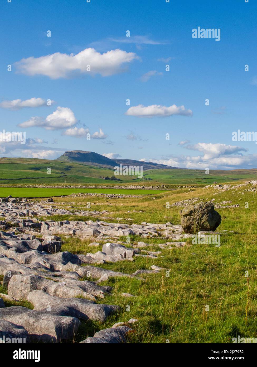Winskill hi-res stock photography and images - Alamy