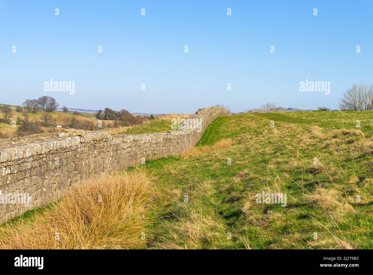 Remains of Hadrian's Wall, built in 122 AD, in the afternoon light ...
