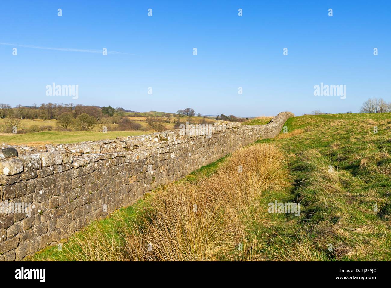 Remains of Hadrian's Wall, built in 122 AD, in the afternoon light ...