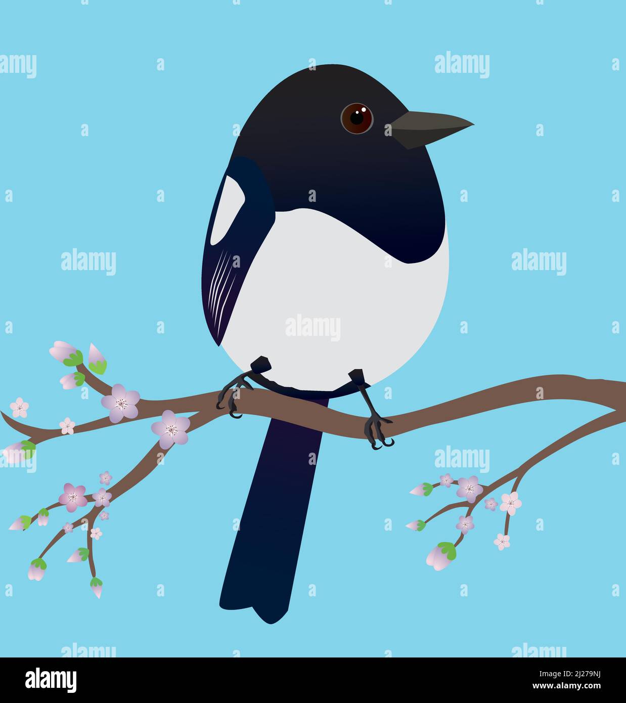 A very cute magpie bird in the shape of an egg. Blue background. The ...