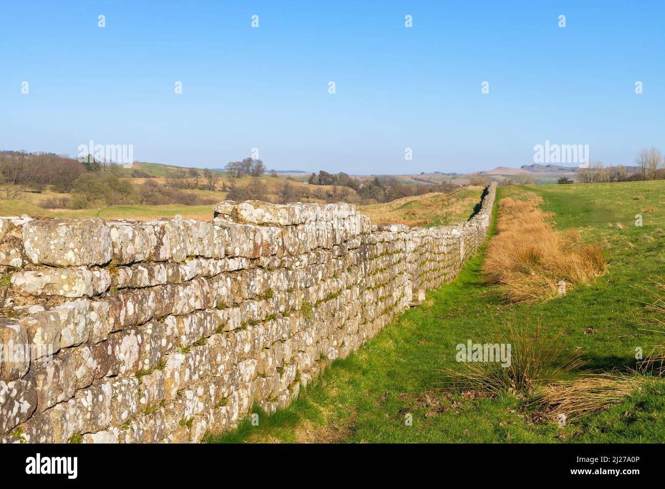 Remains of Hadrian's Wall, built in 122 AD, in the afternoon light ...