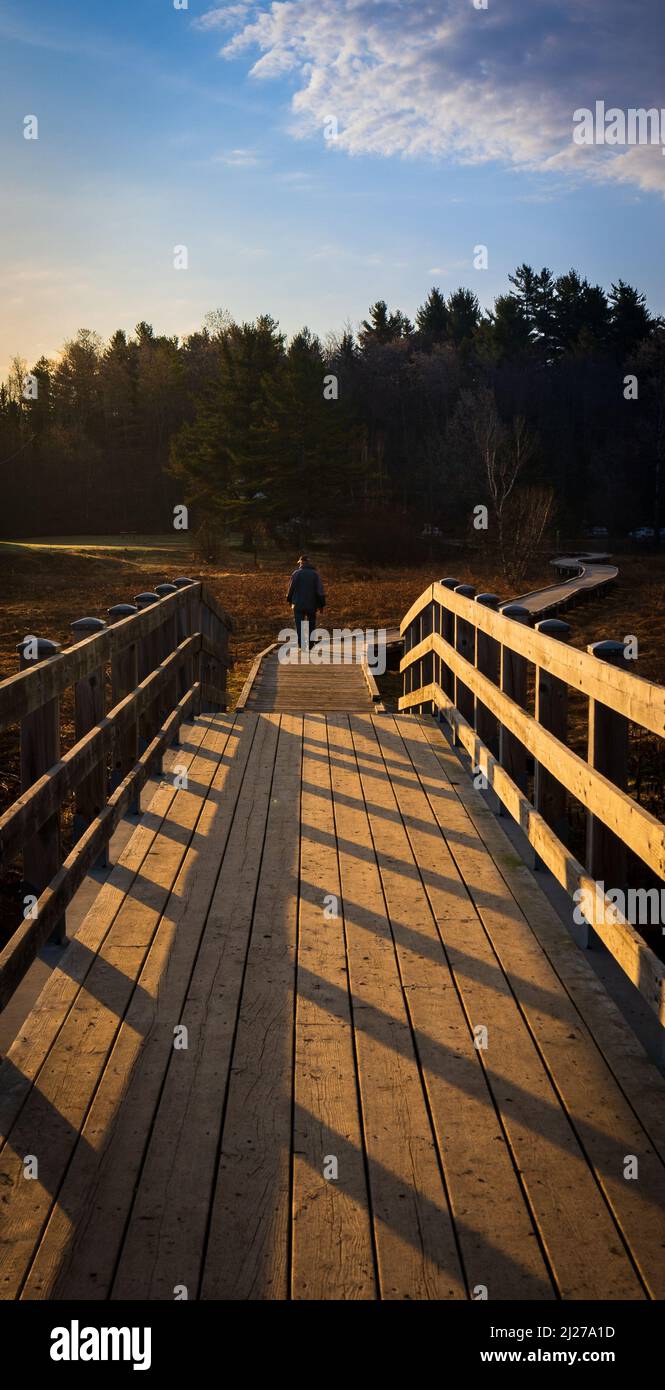 a morning walk, good exercise to stay healthy Stock Photo - Alamy