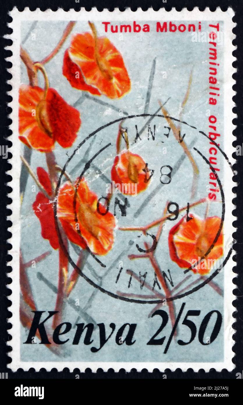 KENYA - CIRCA 1983: a stamp printed in Kenya shows Terminalia ...
