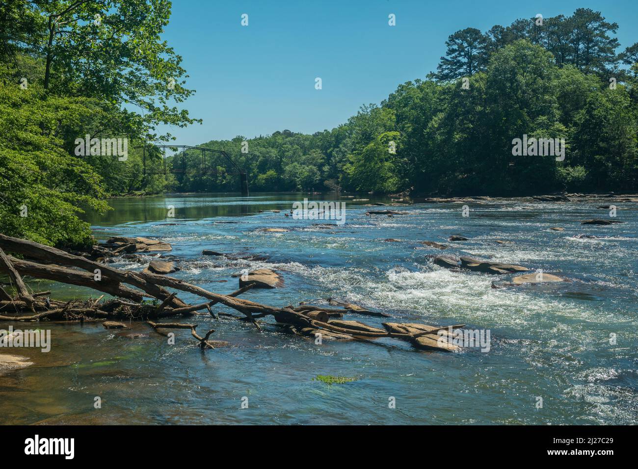 Chattahoochee river at the Jones bridge park in Georgia with some geese ...
