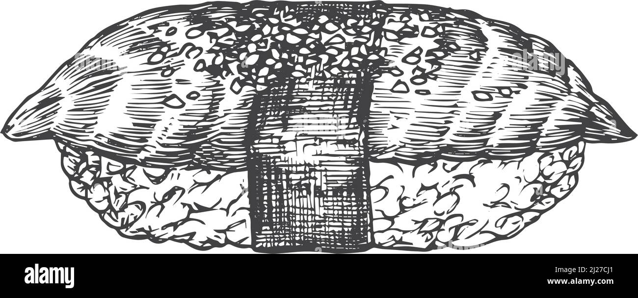 Asian Food Abstract Vector Illustration. Hand Drawn Sushi or Sashimi ...