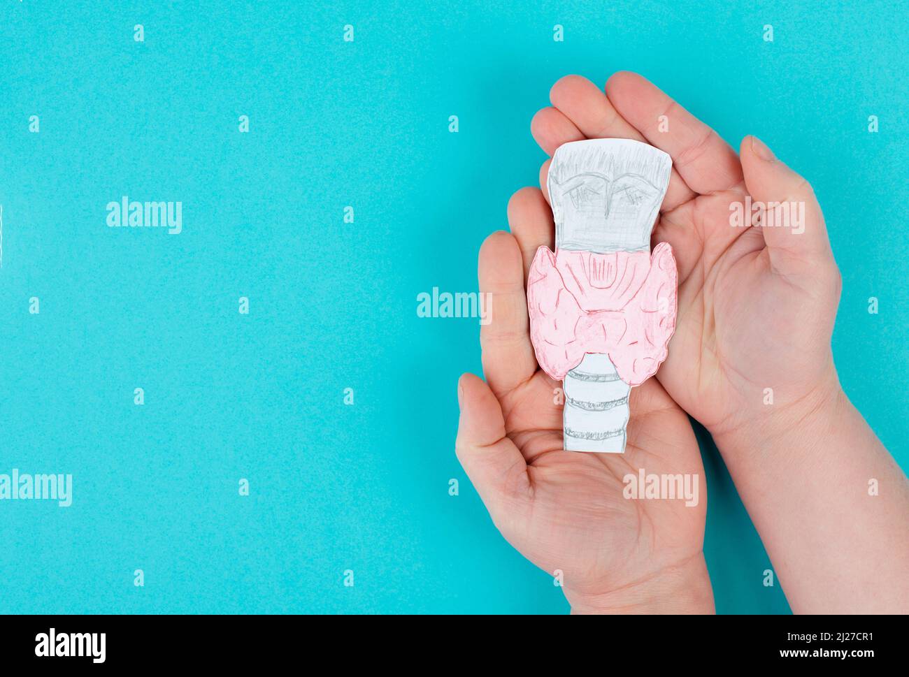 Parathyroid health hi-res stock photography and images - Alamy