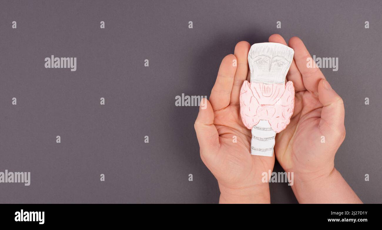 Holding thyroid organ in the hands, drawing paper cut out ...