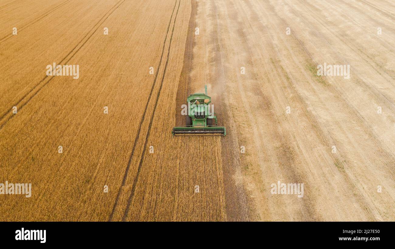 Aerial view combine harvester harvesting on the field Stock Photo - Alamy