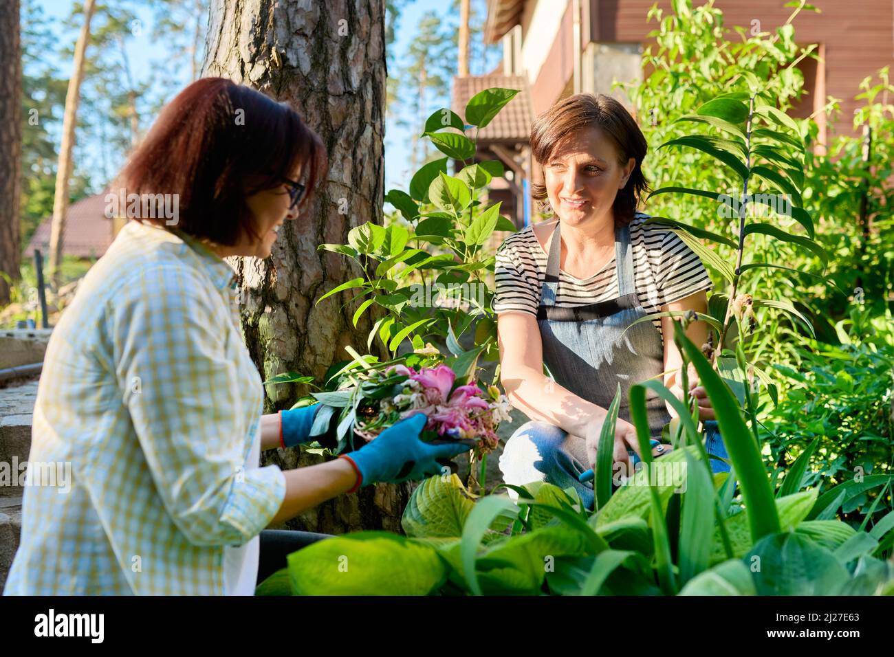 Two women girlfriends in the garden caring for plants Stock Photo - Alamy