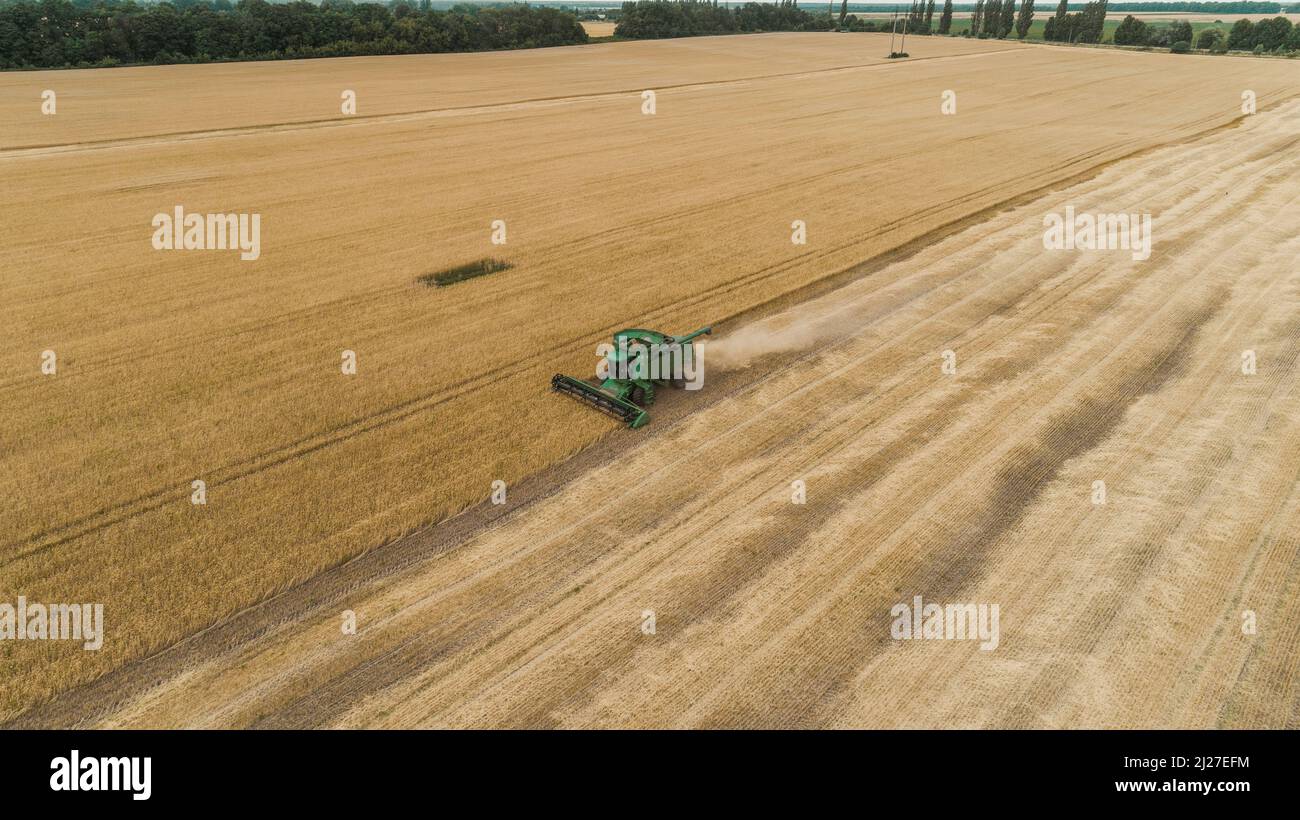 Aerial view combine harvester harvesting on the field Stock Photo - Alamy
