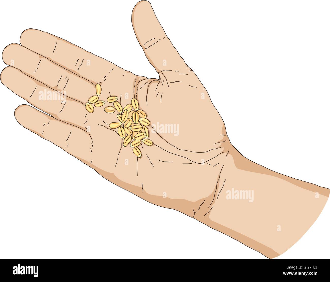 Hand palm vector illustration Stock Vector Image & Art - Alamy