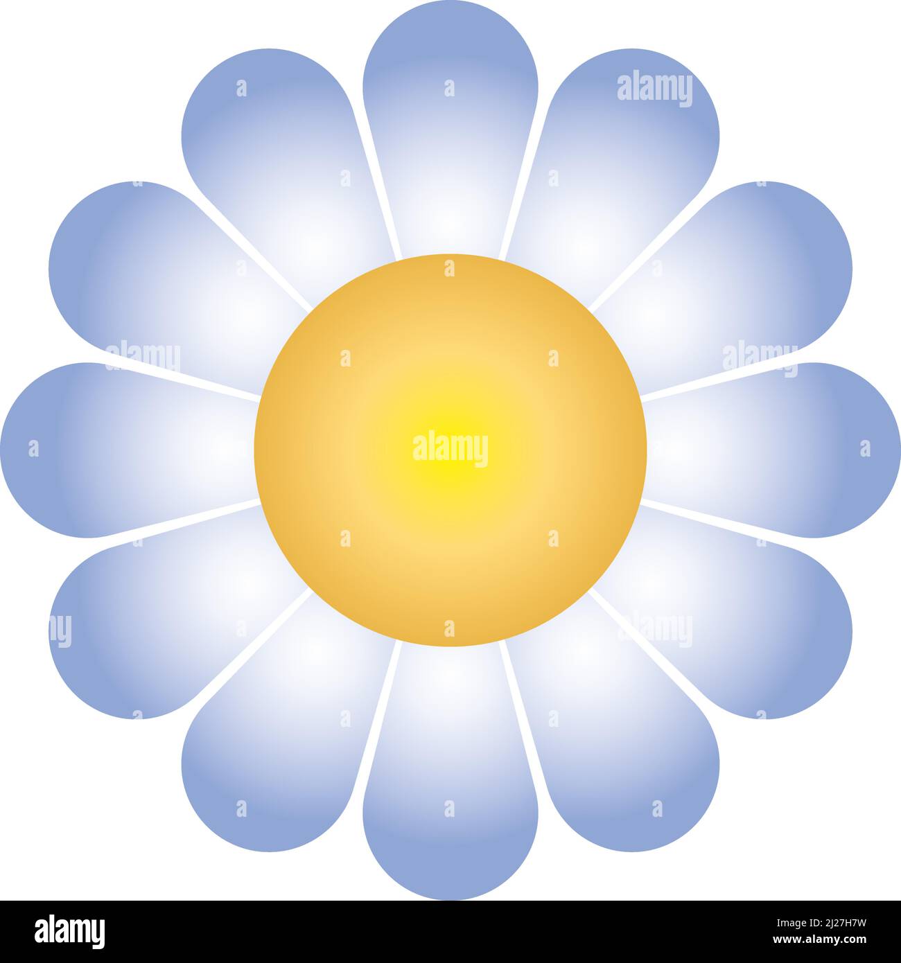 Daisy flower, drawing vector illustration Stock Vector Image & Art - Alamy