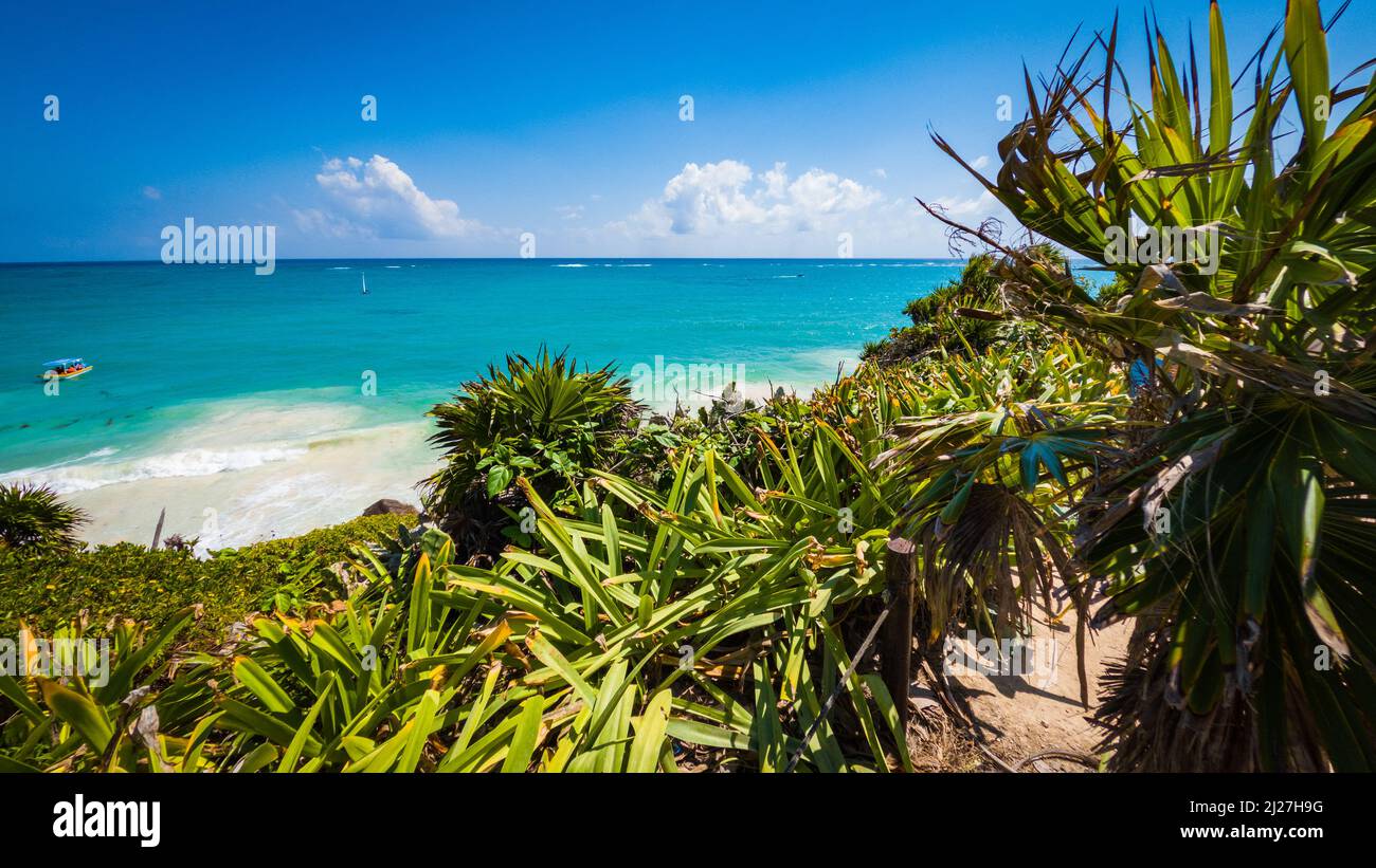 Tulum beach next to the mayan ruins. Mayan Riviera, Mexico Stock Photo ...