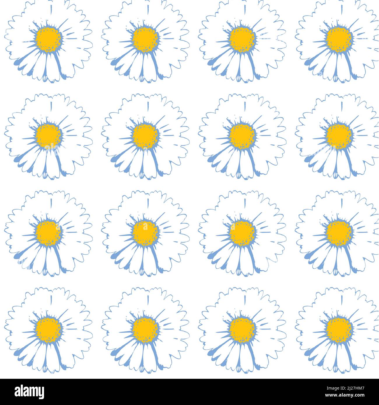 Daisy flower, drawing vector illustration Stock Vector Image & Art - Alamy