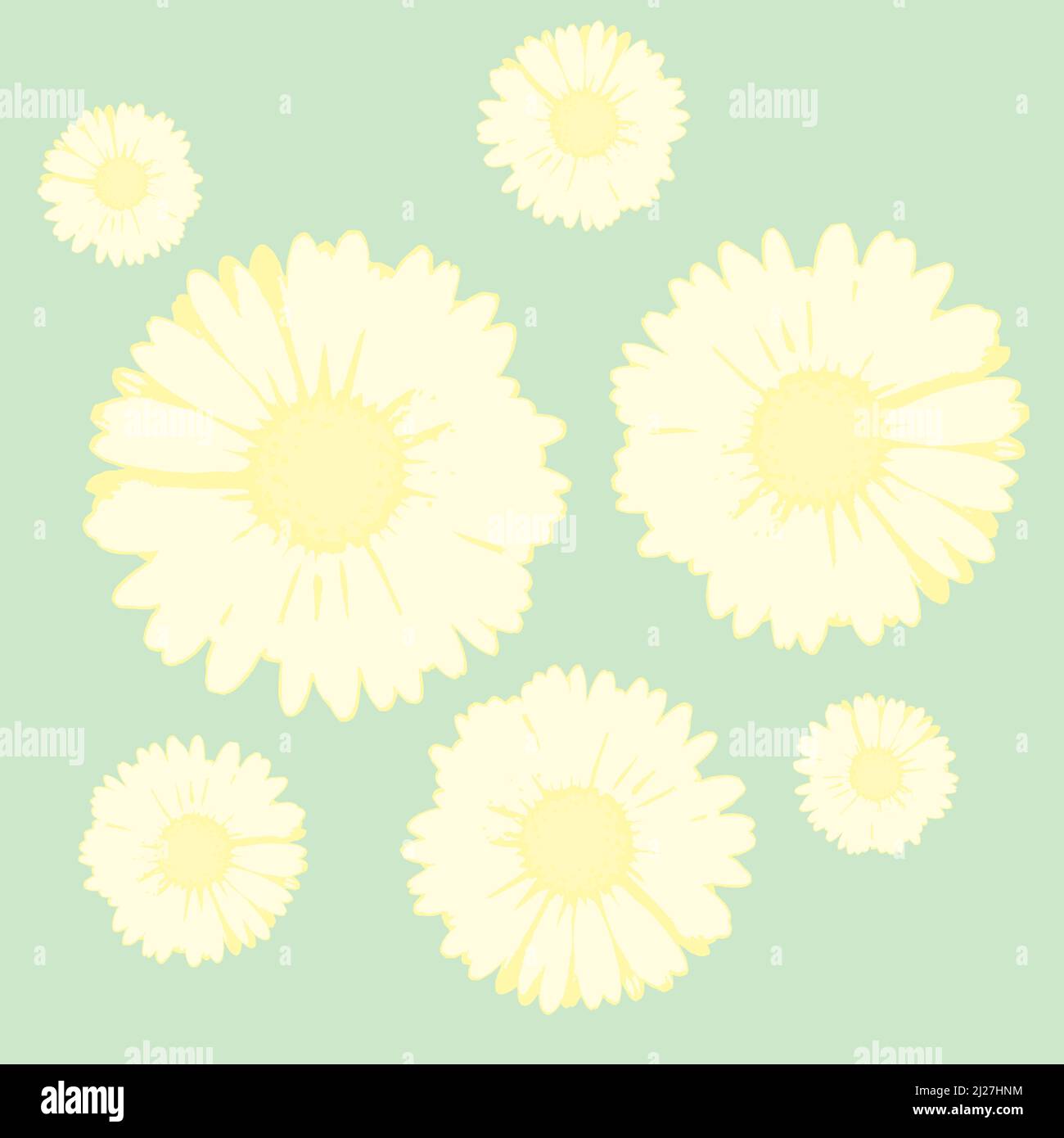 Daisy flower, drawing vector illustration Stock Vector Image & Art - Alamy