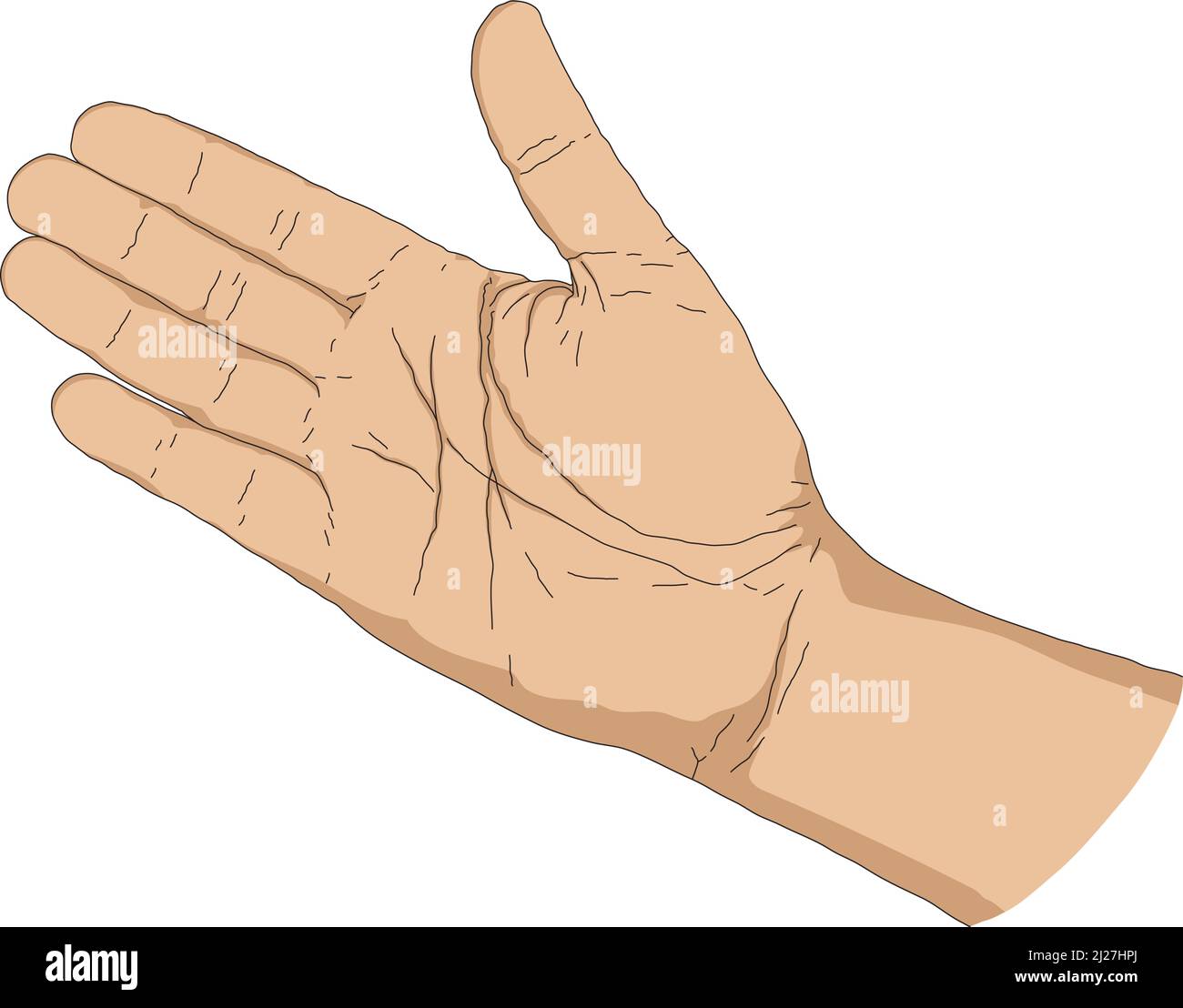 Hand palm vector design Stock Vector Image & Art - Alamy