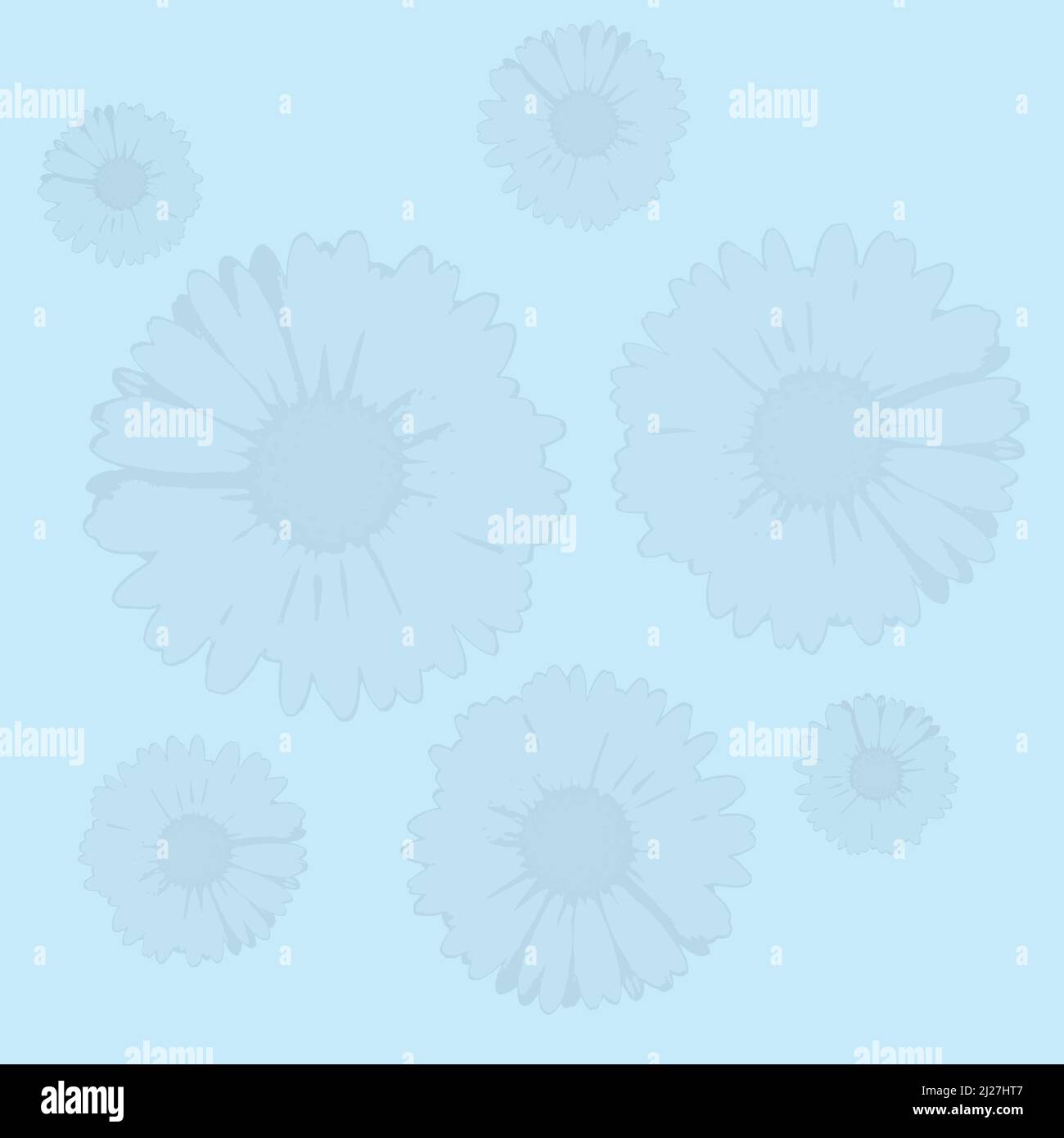 Daisy flower, drawing vector illustration Stock Vector Image & Art - Alamy