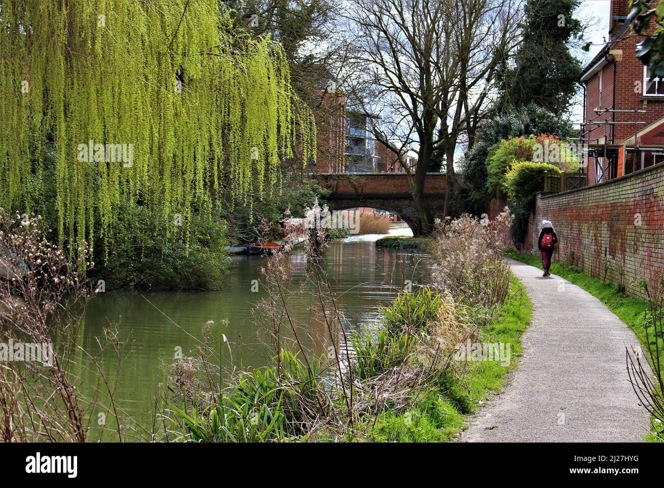 Student walking alone along Oxford Canal in Spring (Oxford, England ...