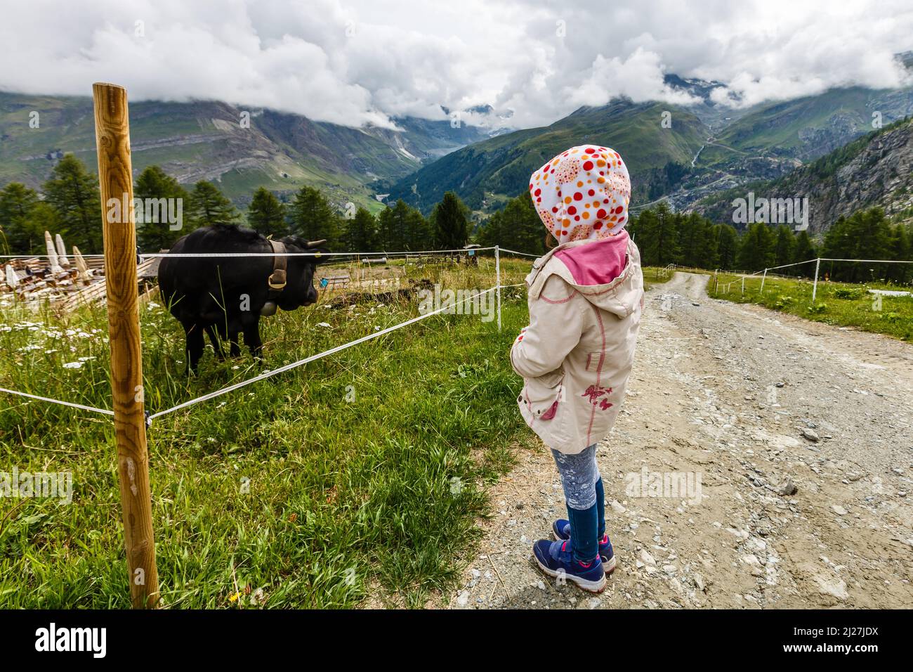 Children hiking in Alps mountains. Kids look at snow covered mountain ...