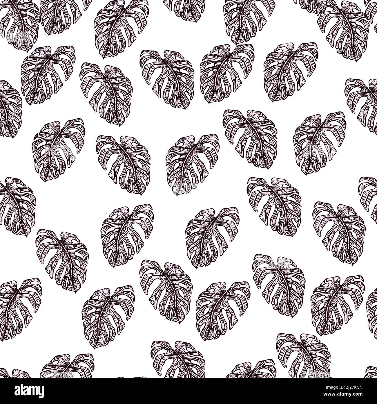 Monstera leaf seamless pattern.Vintage tropical branch in engraving ...