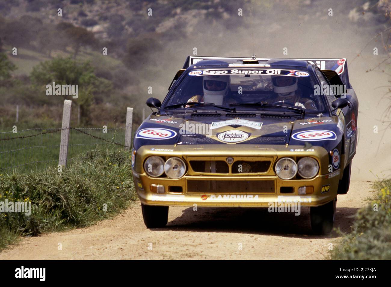 Enrico grifone hi-res stock photography and images - Alamy