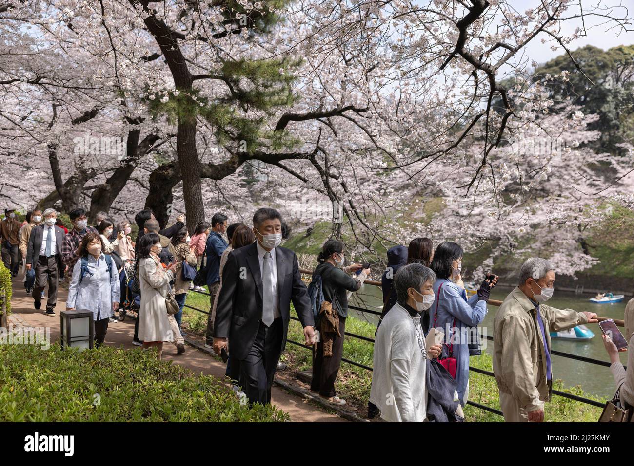 Chery the tree of life hi-res stock photography and images - Alamy