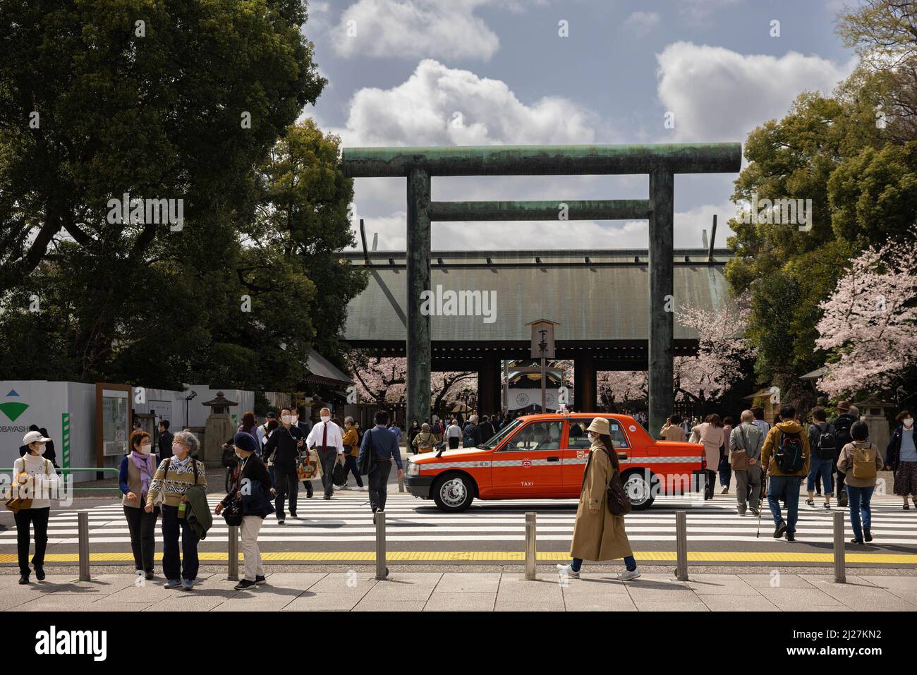 Taxi drives by the main gate of Yasukuni shrine in Tokyo during cherry ...