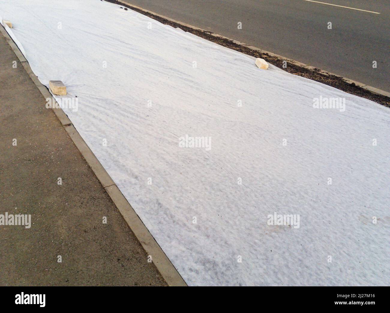 Lawn near the roadway, covered with covering material Stock Photo - Alamy