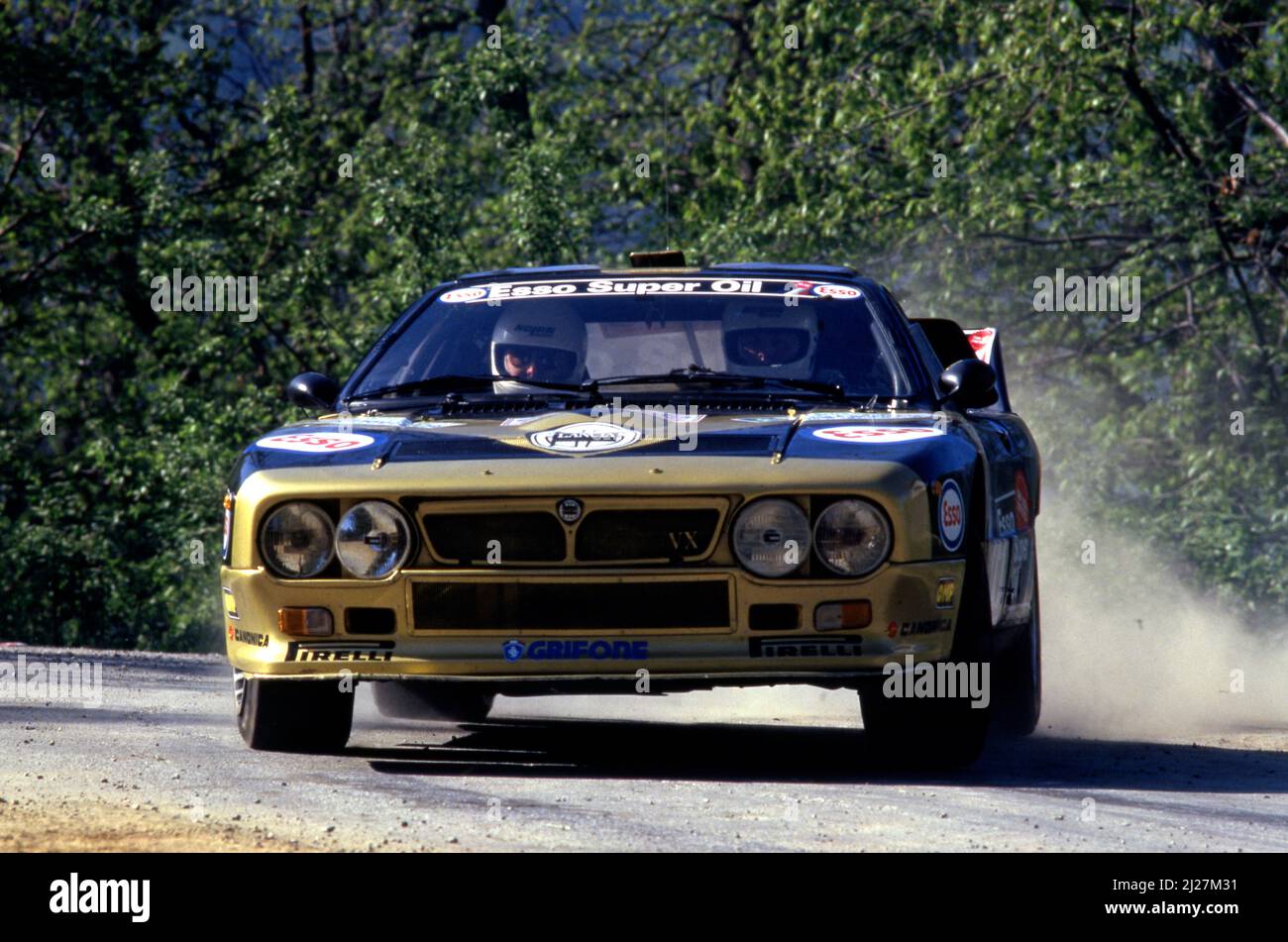 Enrico grifone hi-res stock photography and images - Alamy