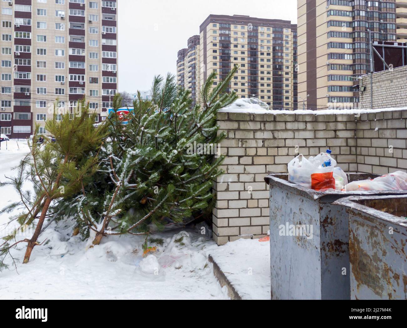 Thrown out christmas tree hi-res stock photography and images - Alamy