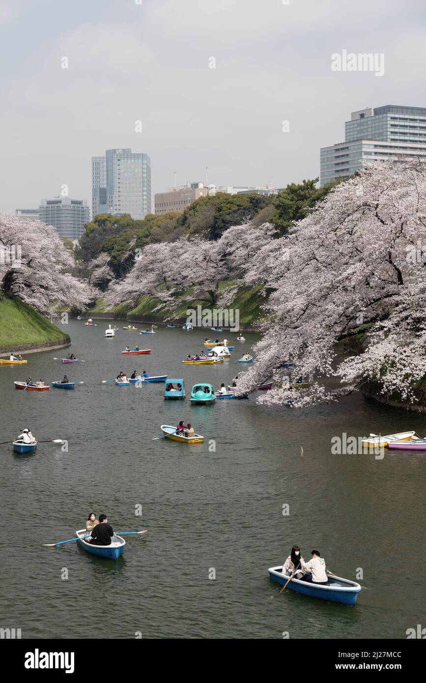 Tokyo, Japan. 30th Mar, 2022. Visitors enjoy boating in Chidorigafuchi ...