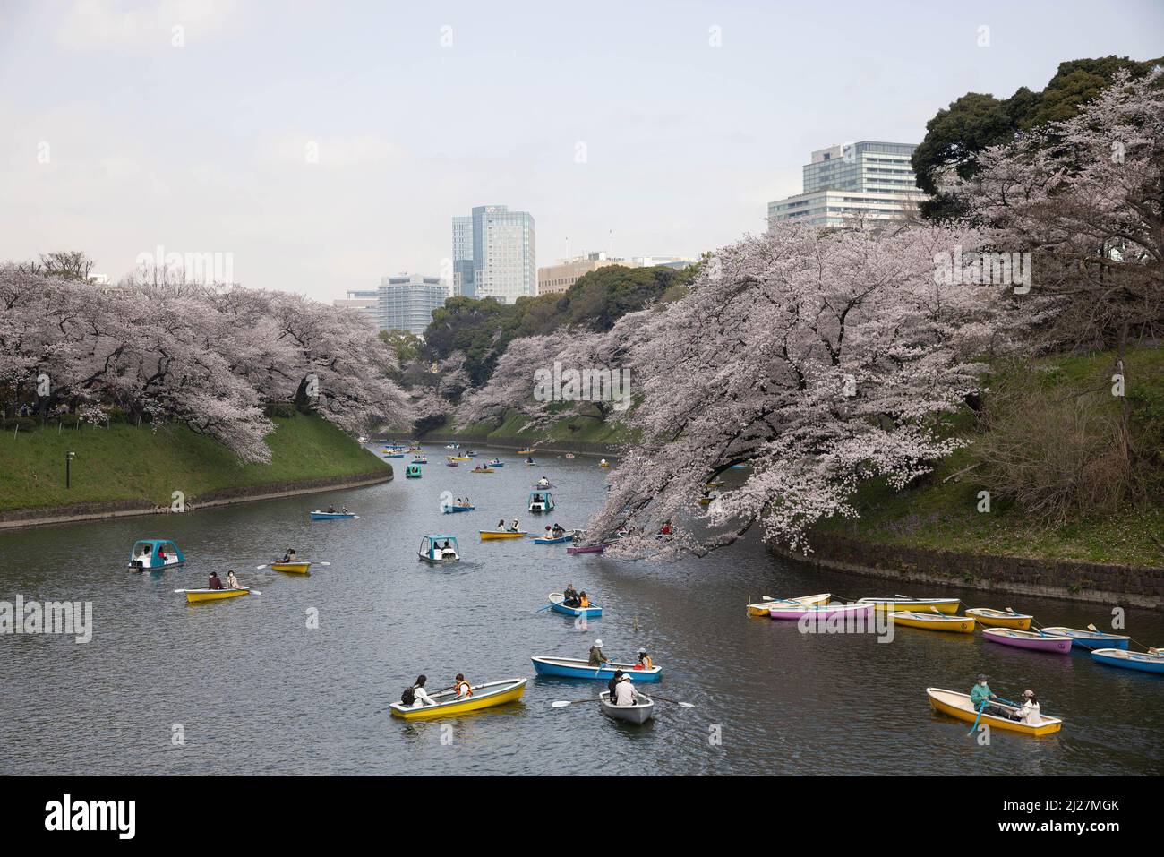 Tokyo, Japan. 30th Mar, 2022. Visitors enjoy boating in Chidorigafuchi ...