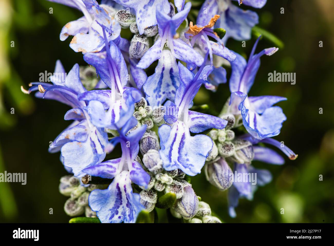 Pont du raz hi-res stock photography and images - Alamy
