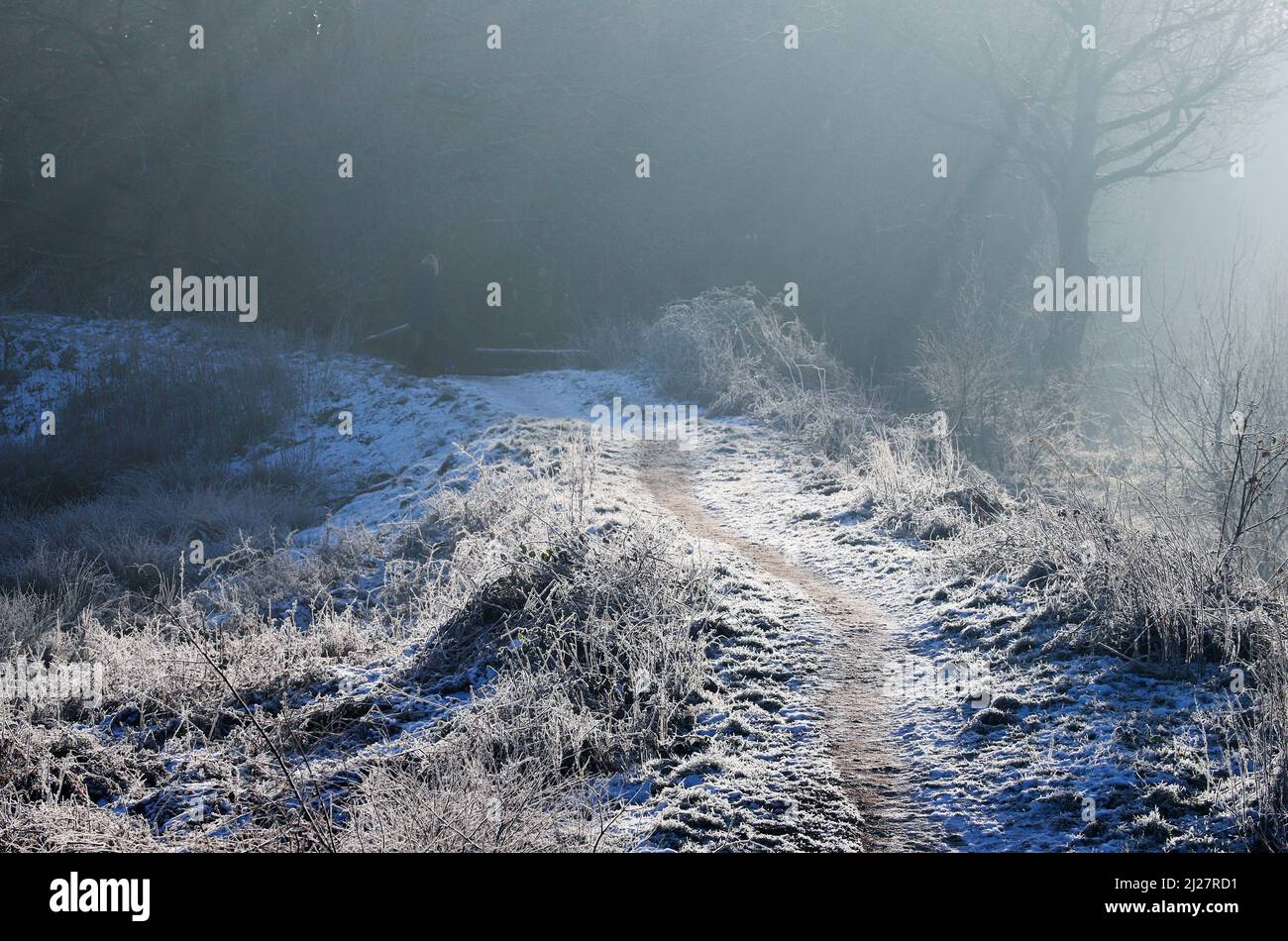 Frost covered mid-winter landscape misty morning at Castle Ring Cannock ...