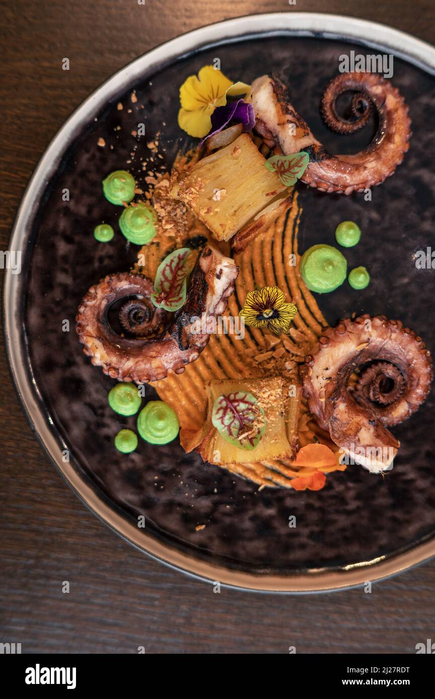 Calamari fish sea edible squid hi-res stock photography and images - Alamy