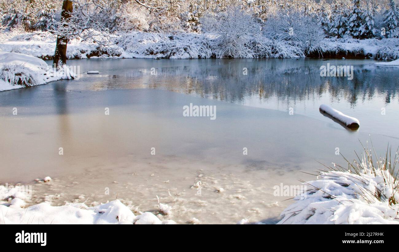 Frosty and snow laden trees around ice covered frozen Pool/Mere in ...